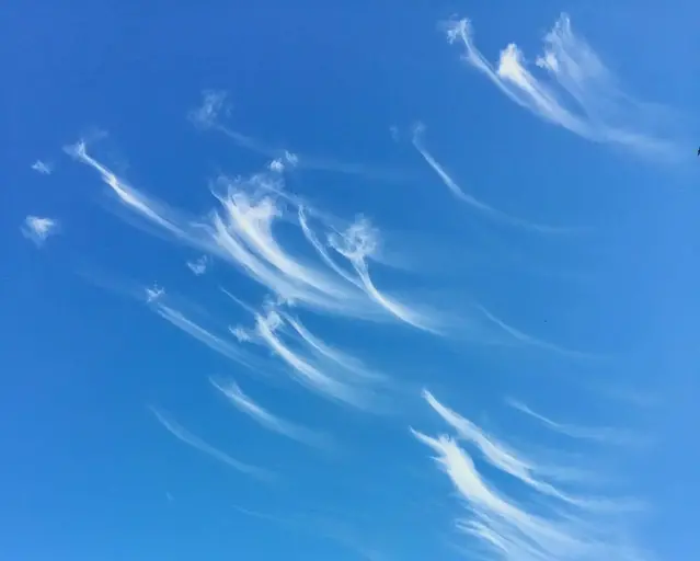 Cirrus - fjädermoln — SMHI